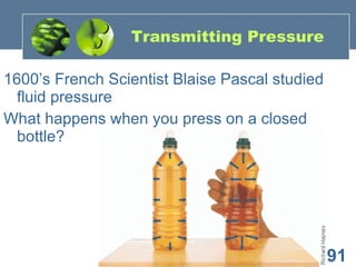 Pascal & Bernoulli | PPS