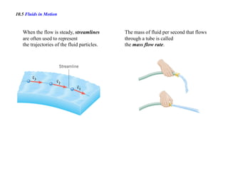 Pascal’s Principle Bernouli etc.pdf | Physics | Science