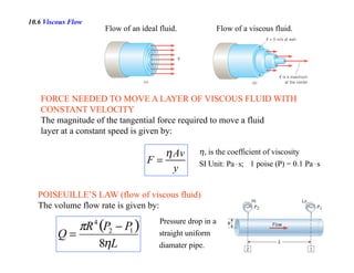 Pascal’s Principle Bernouli etc.pdf | Physics | Science
