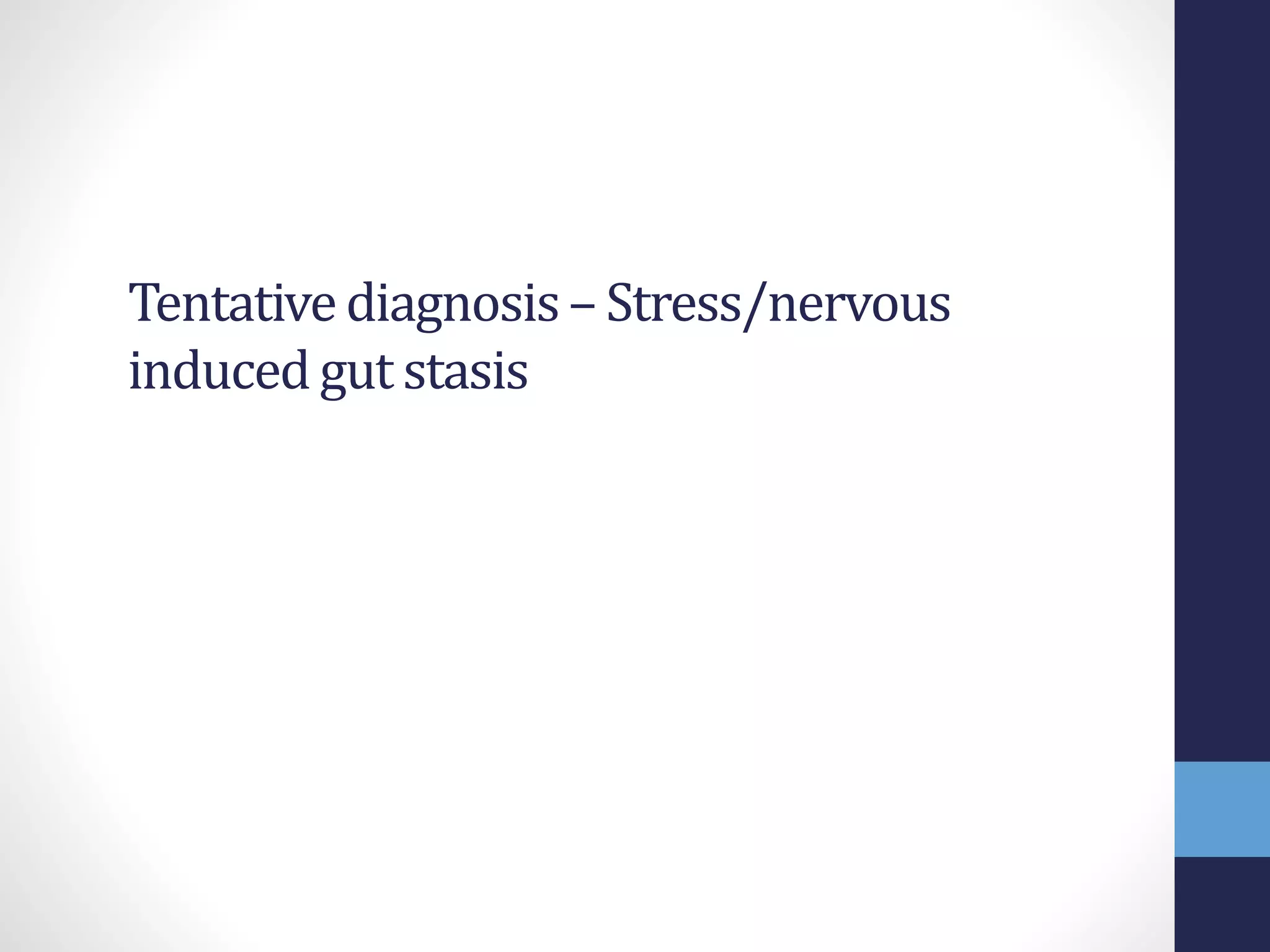 Rabbit Gastrointestinal Stasis Presentation | PPTX | Digestive ...