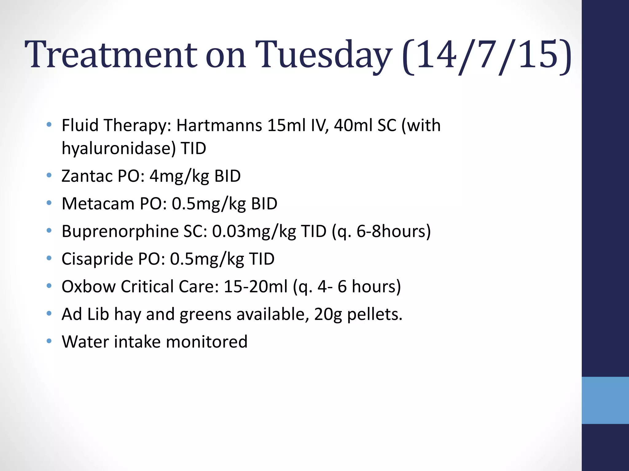 Rabbit Gastrointestinal Stasis Presentation | PPTX | Digestive ...
