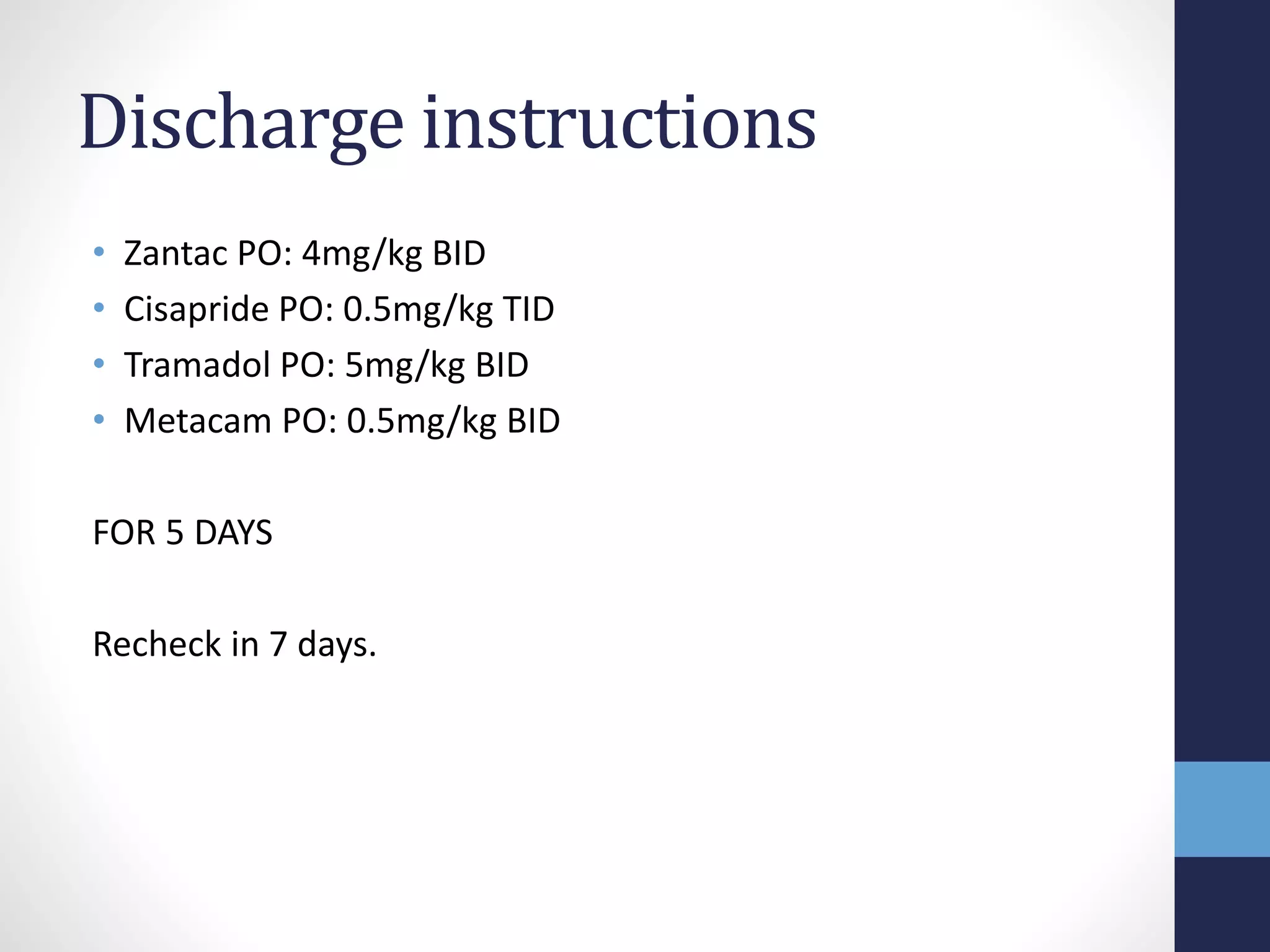 Rabbit Gastrointestinal Stasis Presentation | PPTX | Digestive ...