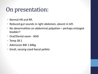 Rabbit Gastrointestinal Stasis Presentation | PPTX | Digestive ...