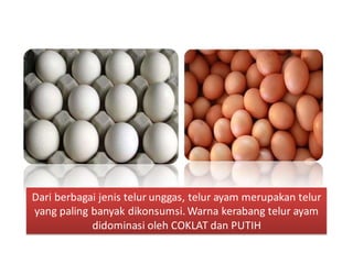teknik pengolahan dan memasak telur yg baik | PDF