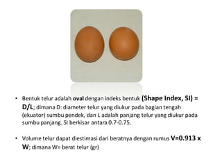 teknik pengolahan dan memasak telur yg baik | PDF