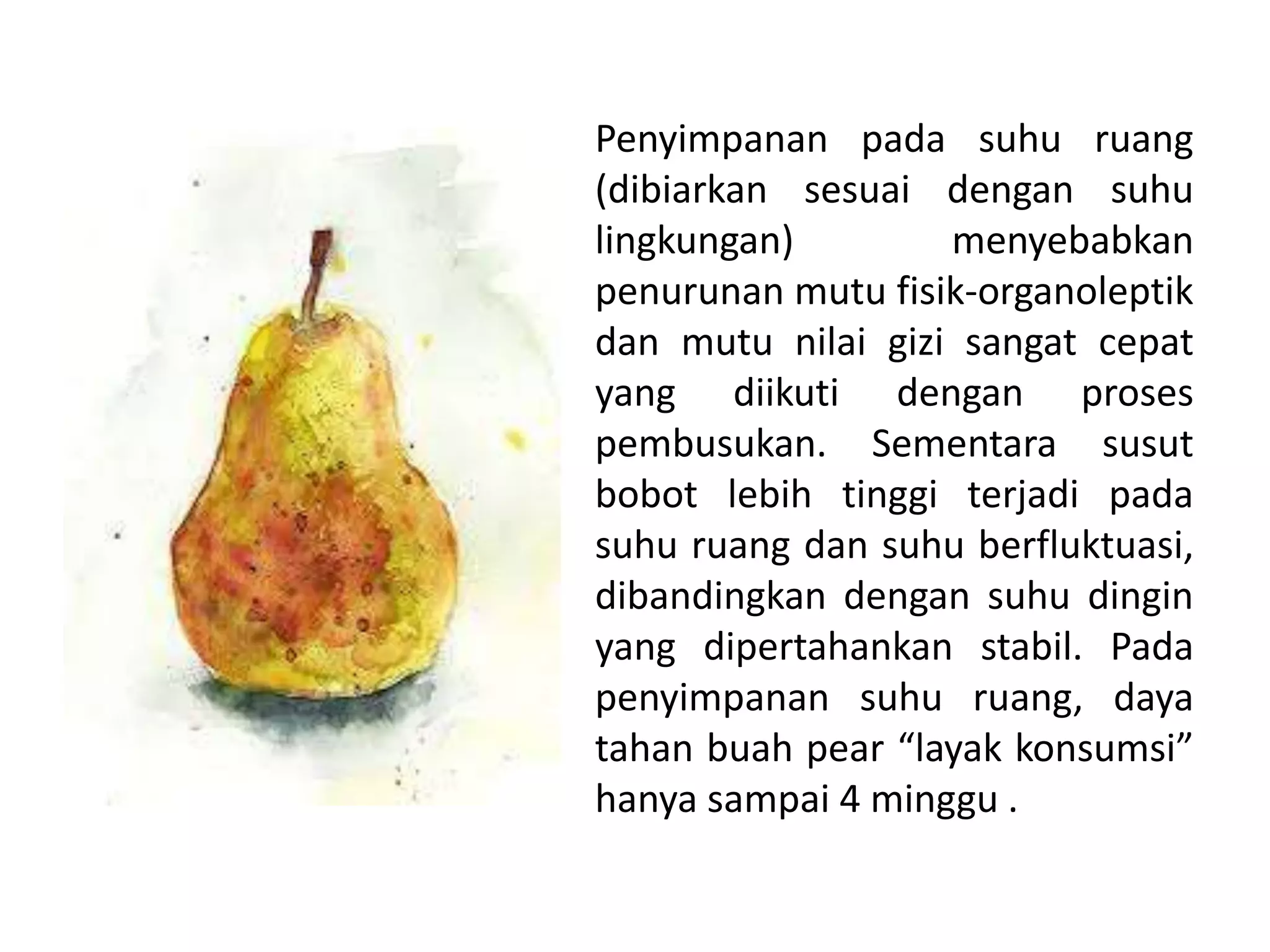Pasca panen buah pear | PPTX