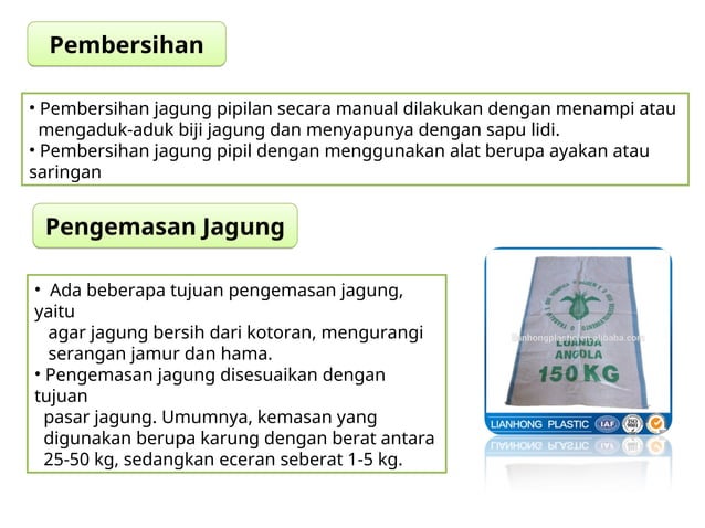 Pasca panen tanaman jagung sesuai anjuran.ppt
