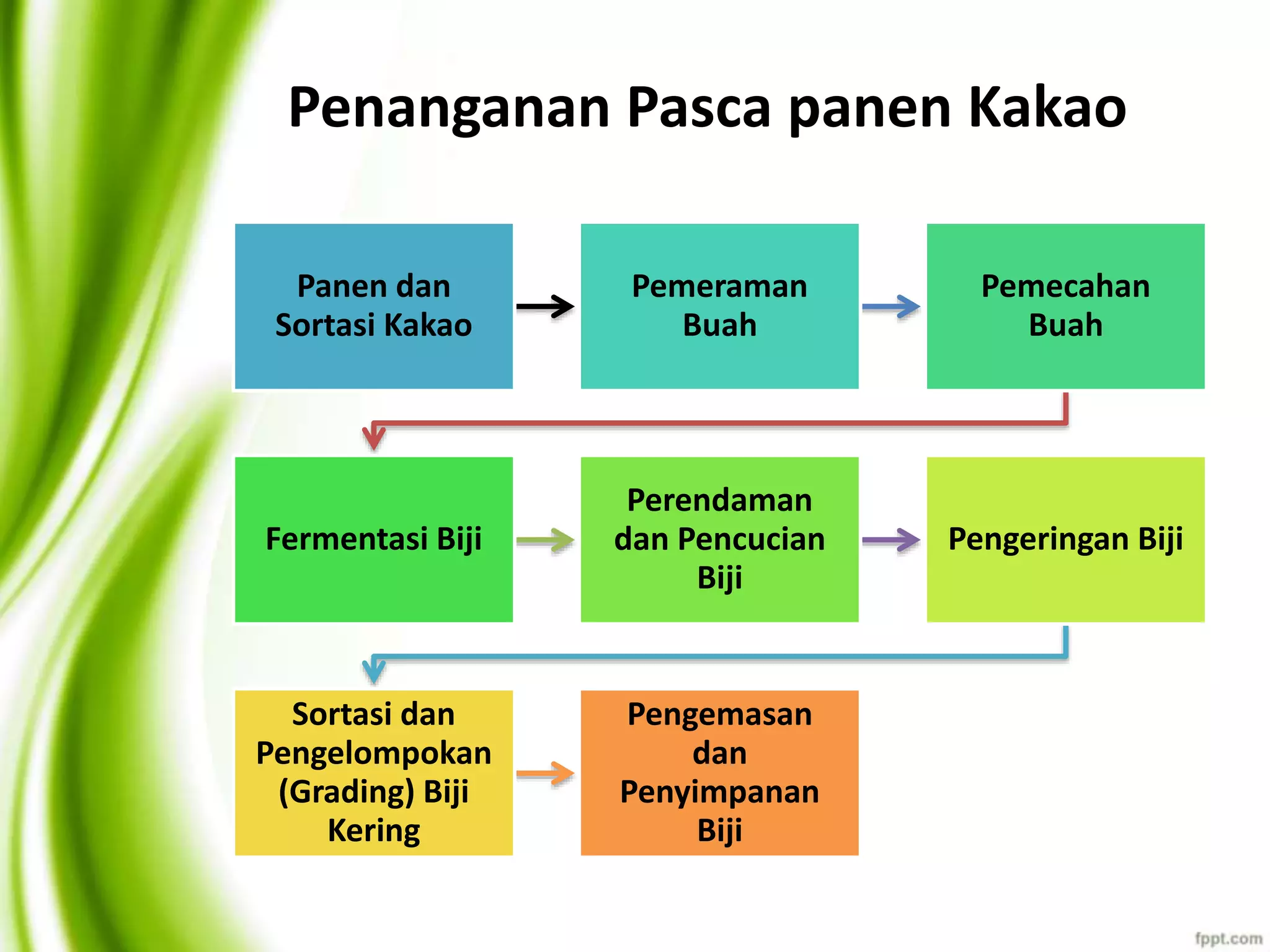 Pasca panen kakao | PPTX