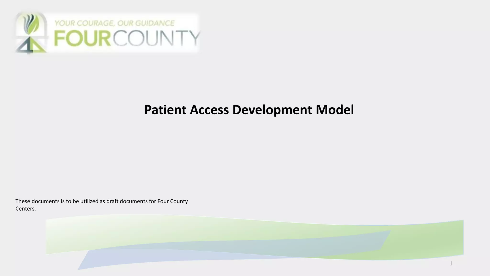 Patient Access department plan | PPTX