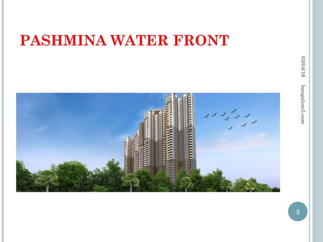 Pashmina water front | PPT