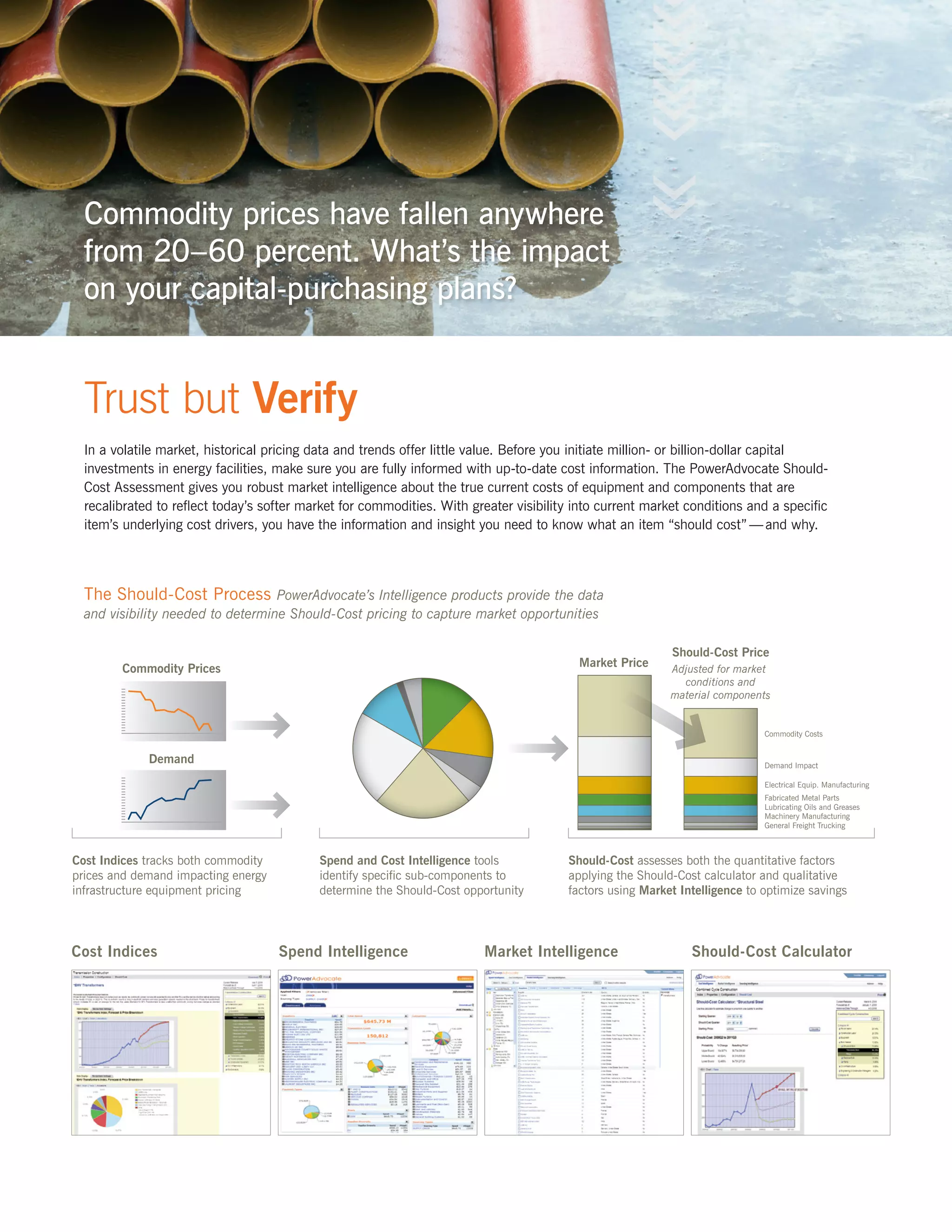 PowerAdvocate Should-Cost Assessment | PDF