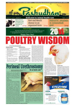 Pashudhan - Jan issue | PDF