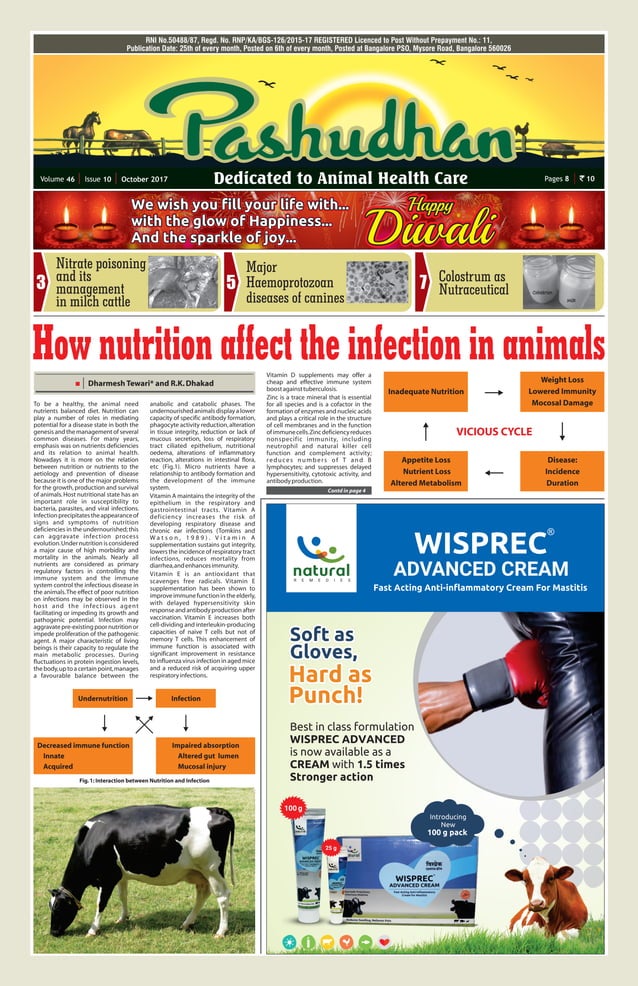 Pashudhan october 2017 | PDF