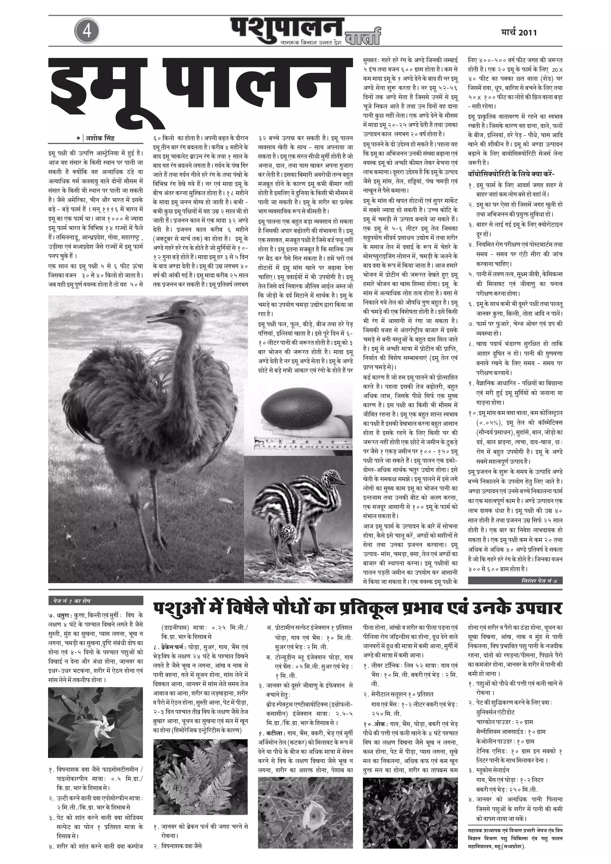 Pashupalan varta mar-2011 | PDF