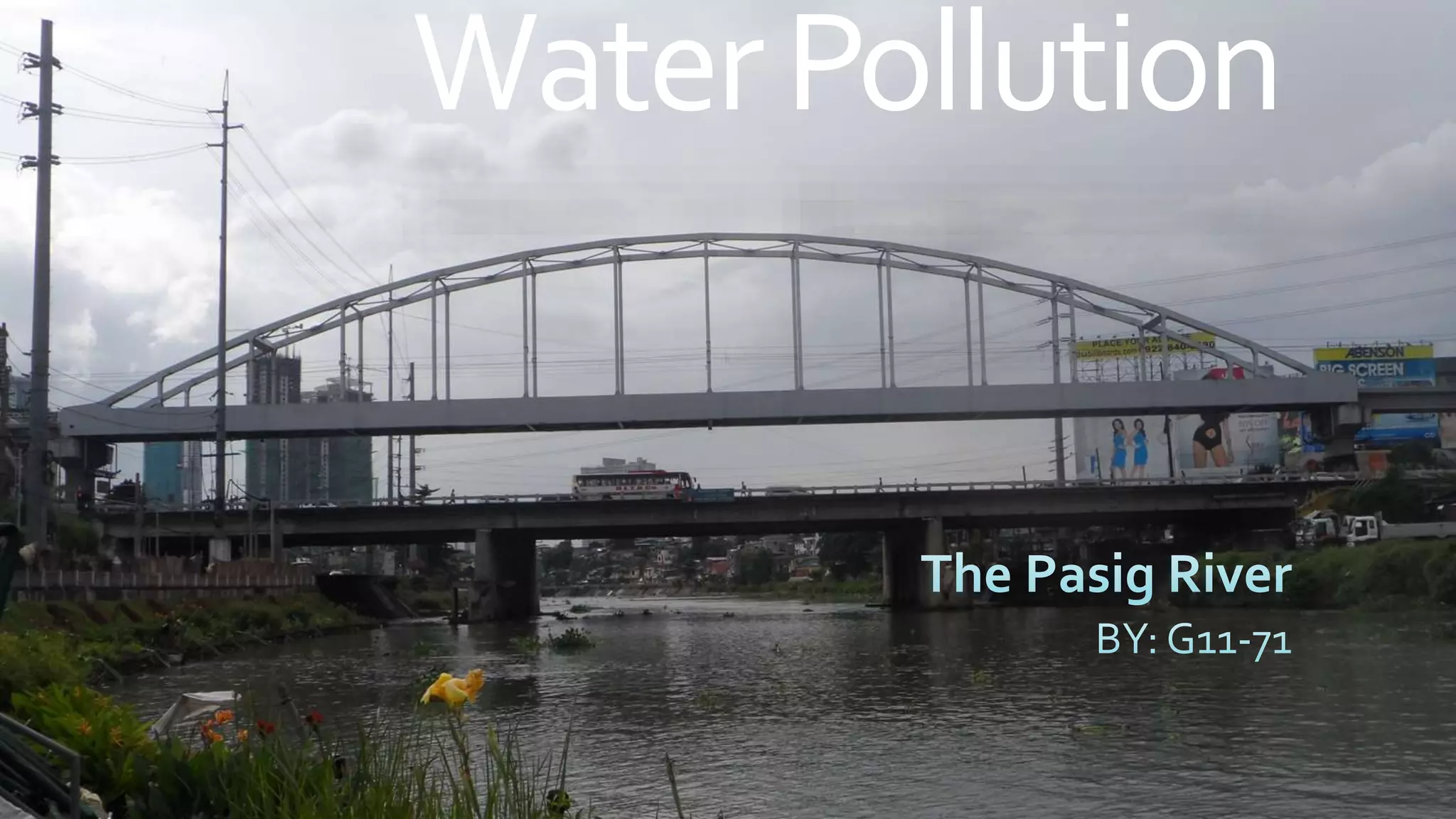 Pasig river Pollution | PPTX | Environment | Science