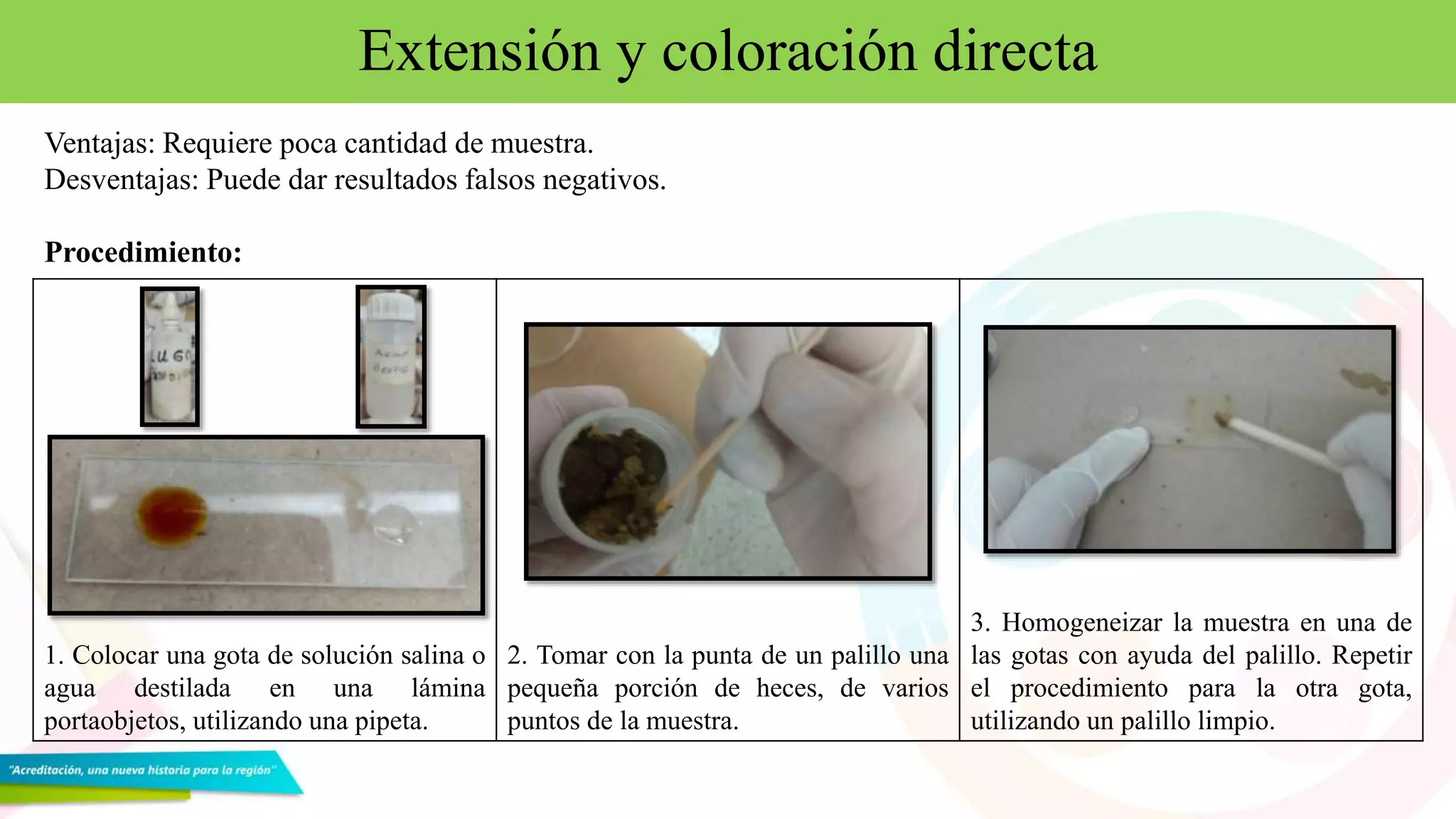 Paso a paso Coprología - Leidy Giraldo | PPTX | Chemistry | Science