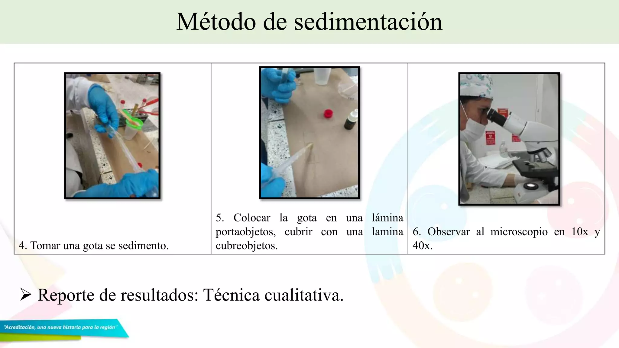 Paso a paso Coprología - Leidy Giraldo | PPTX | Chemistry | Science
