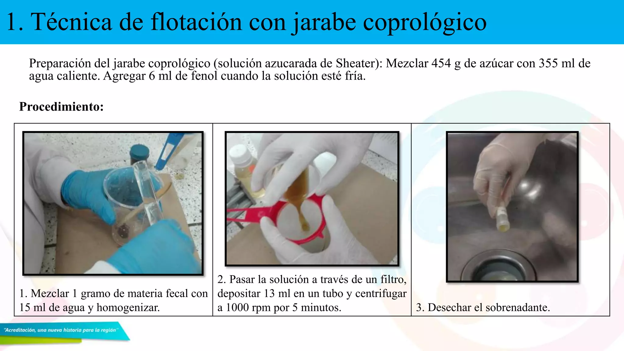 Paso a paso Coprología - Leidy Giraldo | PPTX | Chemistry | Science