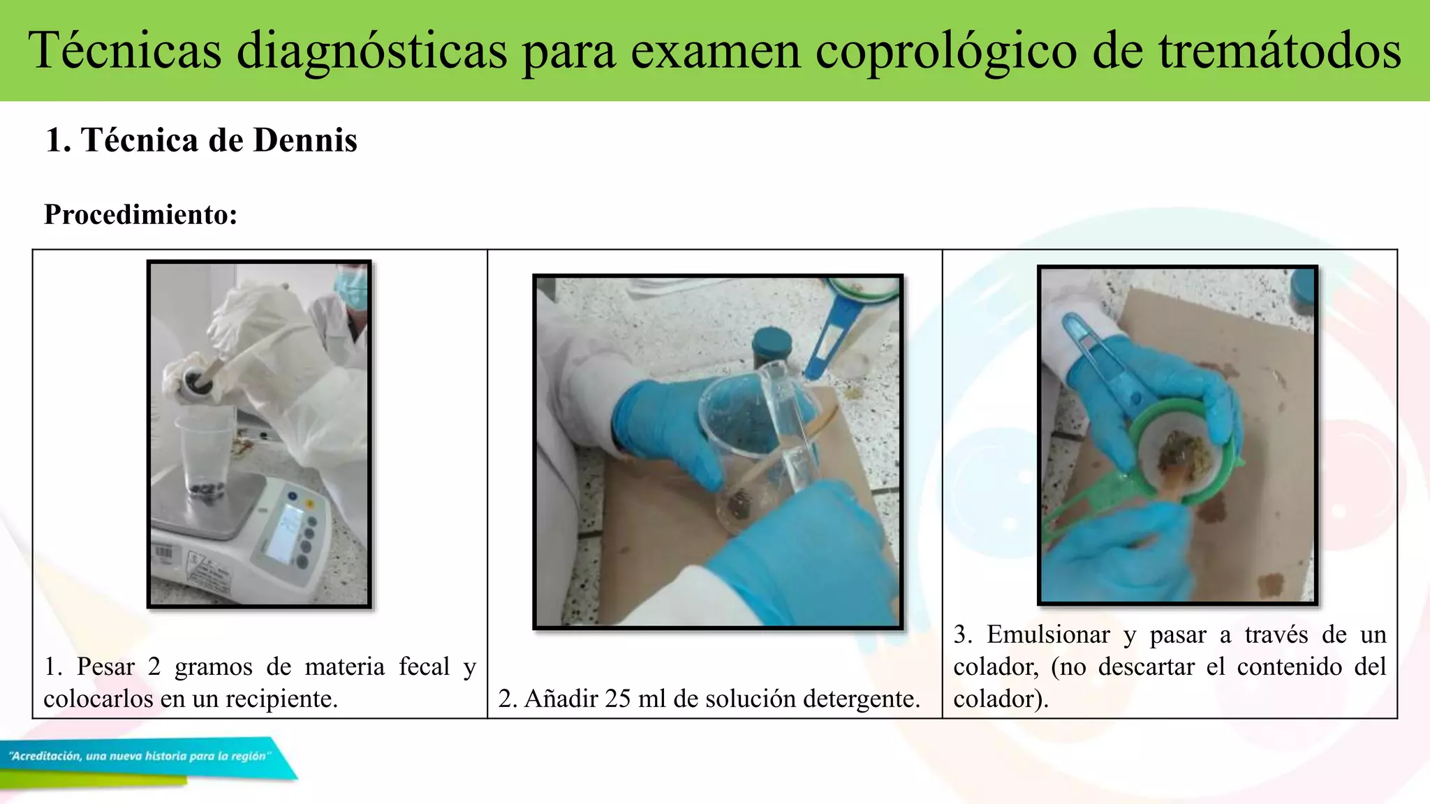Paso a paso Coprología - Leidy Giraldo | PPTX | Chemistry | Science