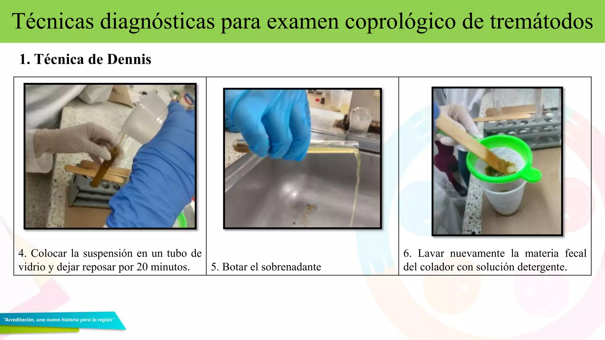 Paso a paso Coprología - Leidy Giraldo | PPTX | Chemistry | Science