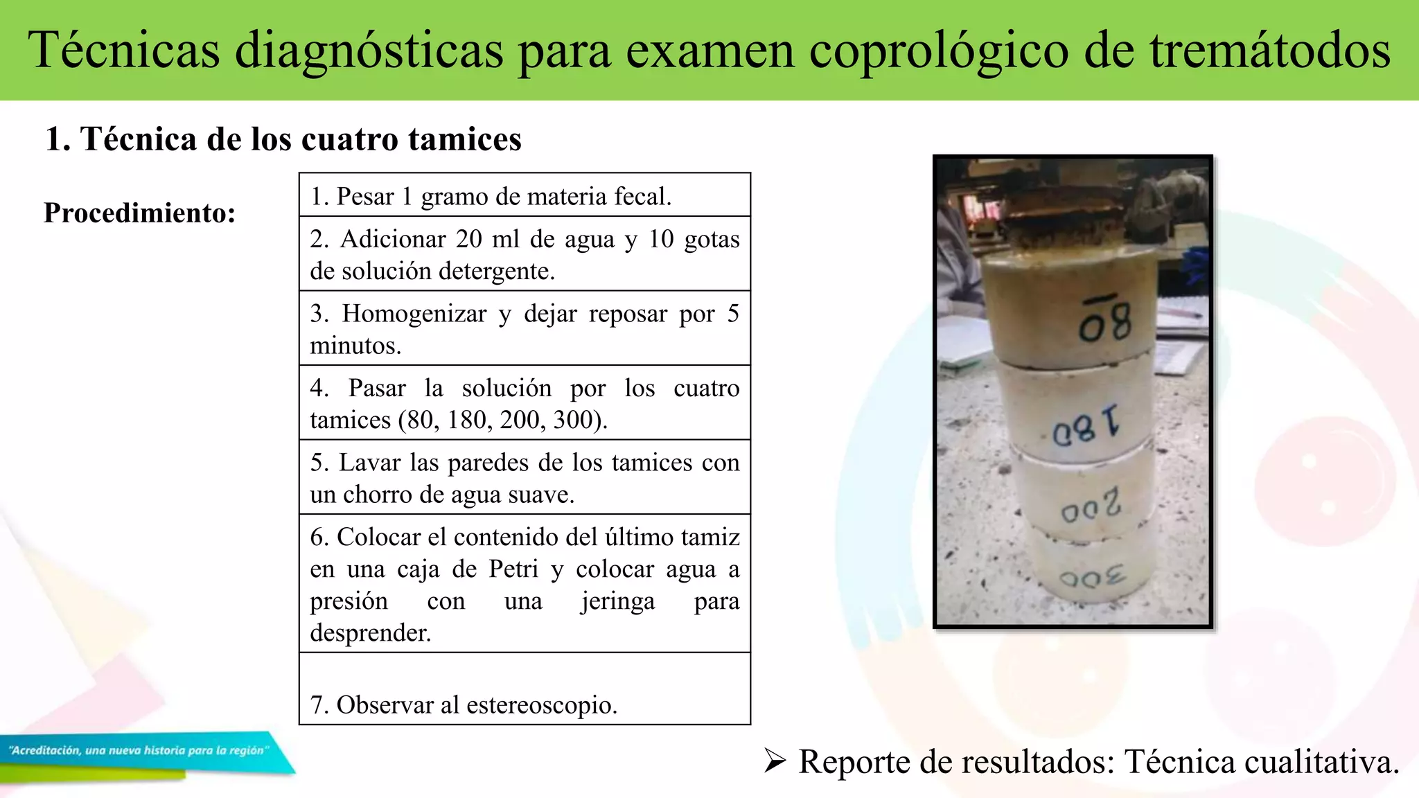 Paso a paso Coprología - Leidy Giraldo | PPTX | Chemistry | Science
