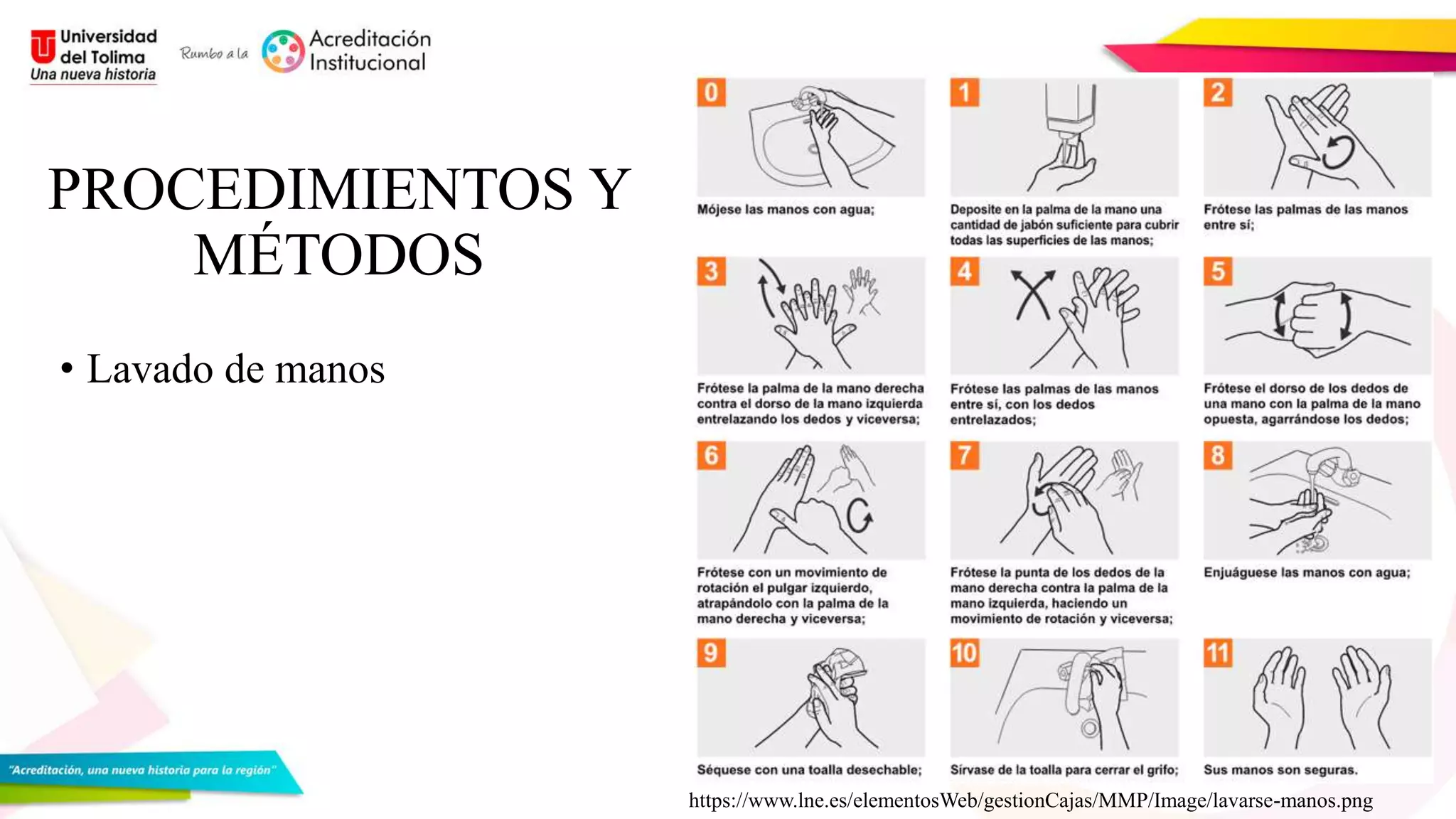Paso a paso Coprología - Leidy Giraldo | PPTX | Chemistry | Science