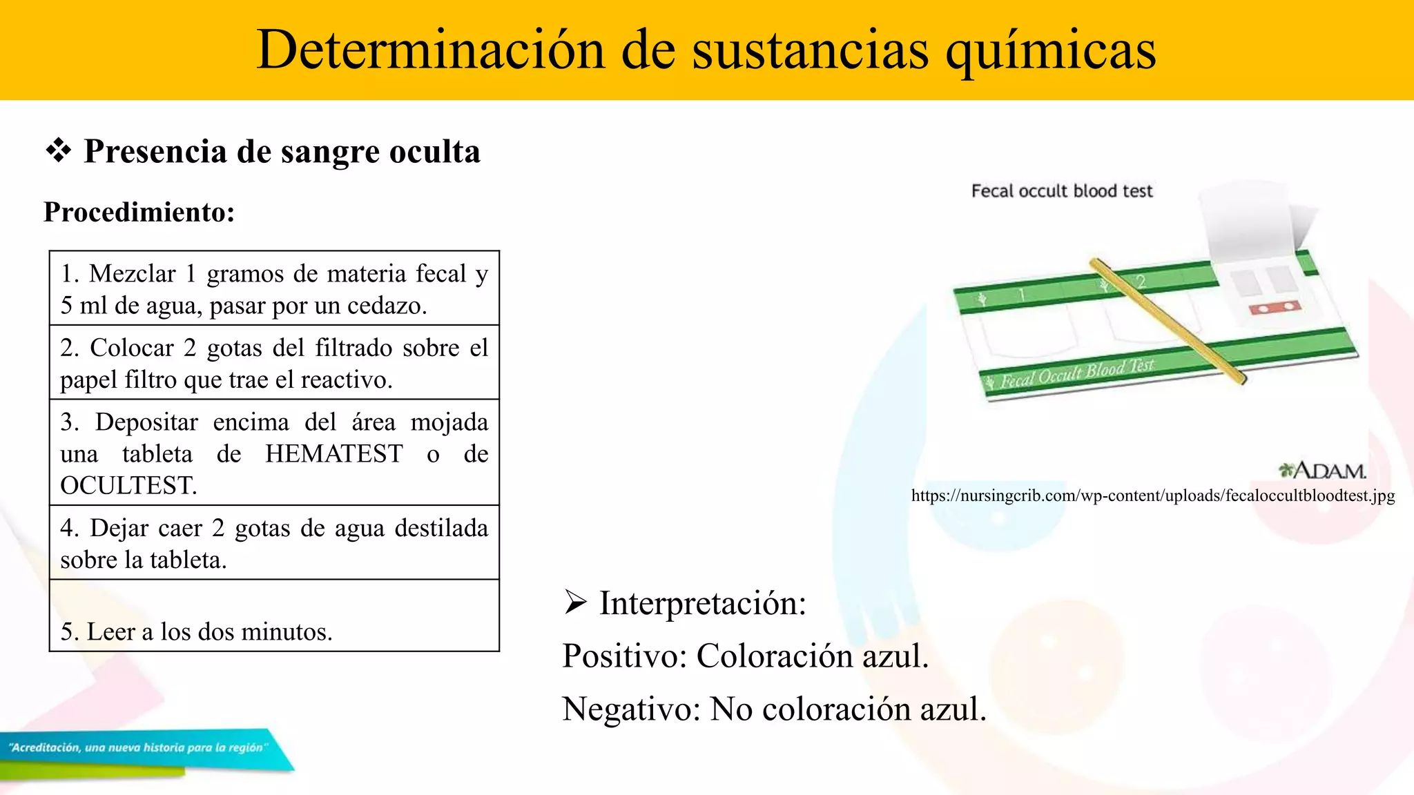 Paso a paso Coprología - Leidy Giraldo | PPTX | Chemistry | Science