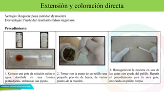 Paso a paso Coprología - Leidy Giraldo | PPTX