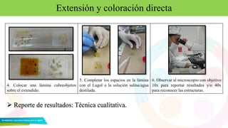 Paso a paso Coprología - Leidy Giraldo | PPTX