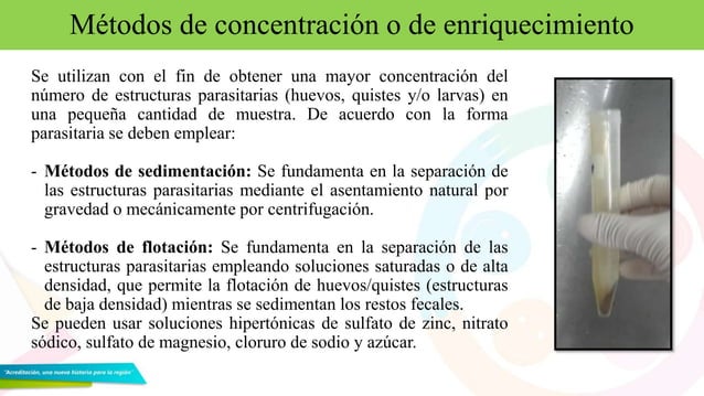 Paso a paso Coprología - Leidy Giraldo | PPTX | Chemistry | Science