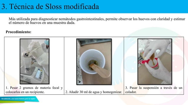 Paso a paso Coprología - Leidy Giraldo | PPTX | Chemistry | Science