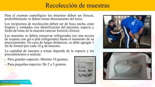 Paso a paso Coprología - Leidy Giraldo | PPTX