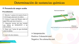 Paso a paso Coprología - Leidy Giraldo | PPTX