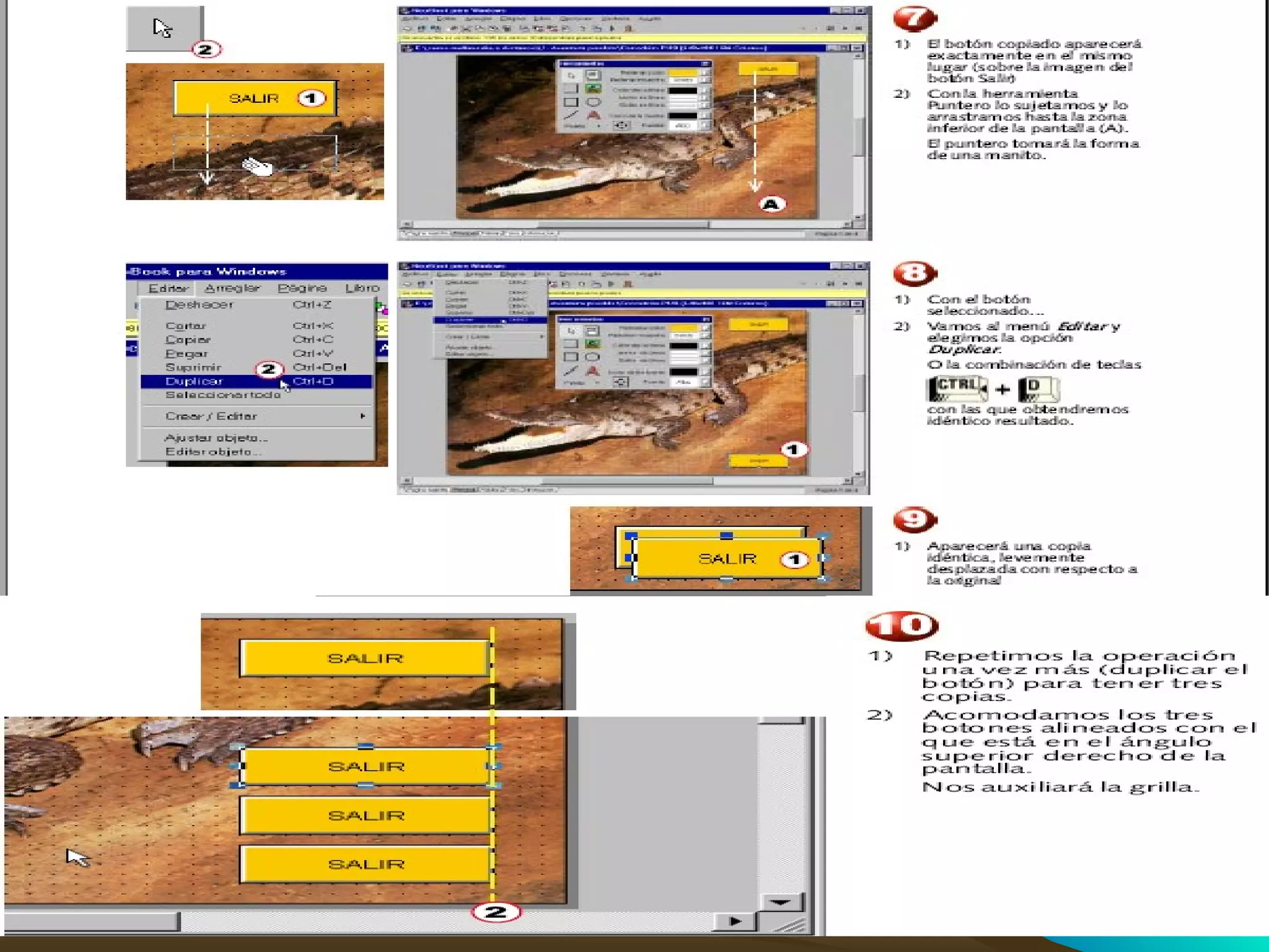 Pasos Para Armar La Pagina Principal De Neobook | PPT