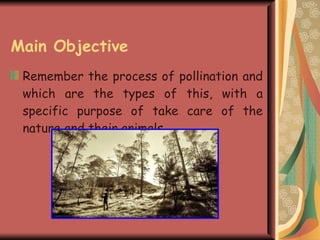 Pasos del proyecto de aula how does pollen move | PPT