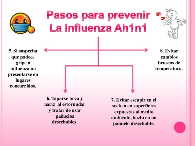 Pasos Para Prevenir La Influenza Ah1n1