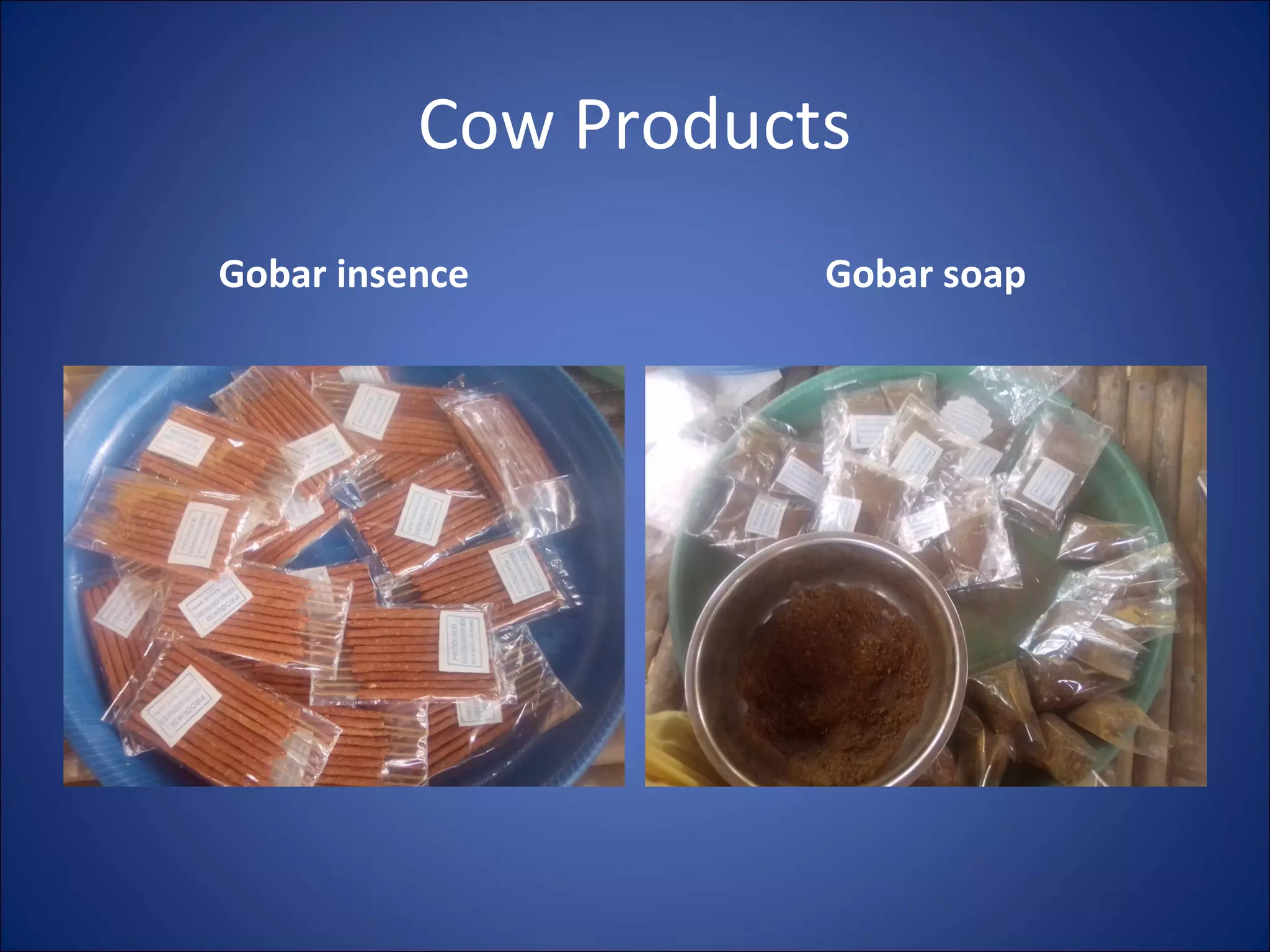 Pasraman Sandipani Muni | PPT