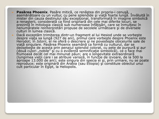 Pasărea phoenix | PPTX