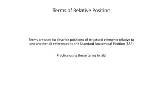 PASS 610 Lecture 1A Introduction to Anatomy.pptx