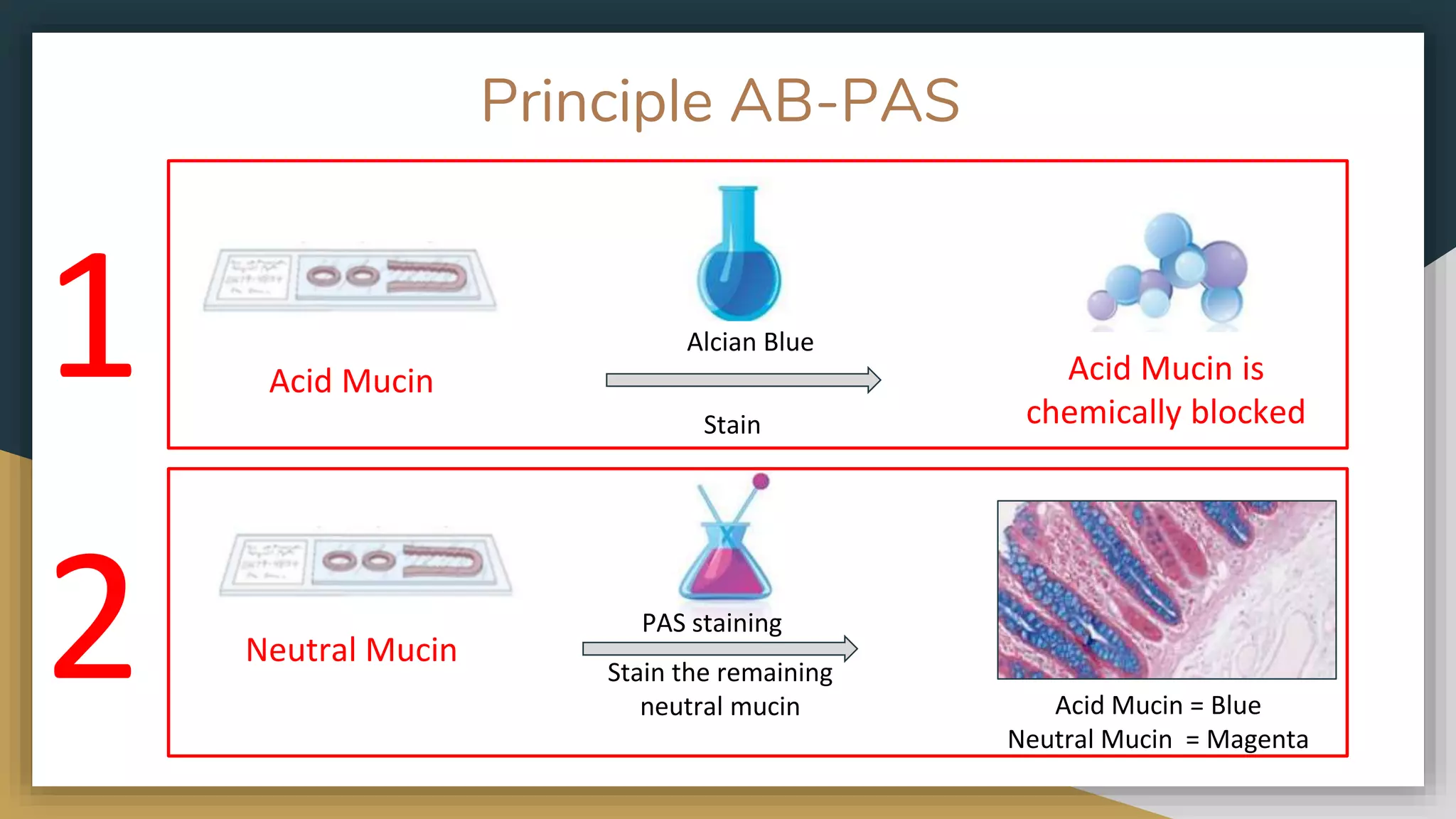 Periodic Acid Schiff and Alcian Blue Periodic Acid Schiff | PPTX