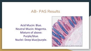 Periodic Acid Schiff and Alcian Blue Periodic Acid Schiff | PPTX