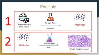 Periodic Acid Schiff and Alcian Blue Periodic Acid Schiff | PPTX