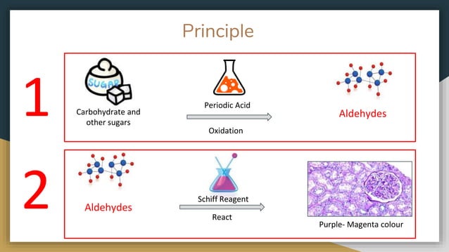 Periodic Acid Schiff and Alcian Blue Periodic Acid Schiff | PPTX Periodic Acid Schiff and Alcian Blue Periodic Acid Schiff | PPTX