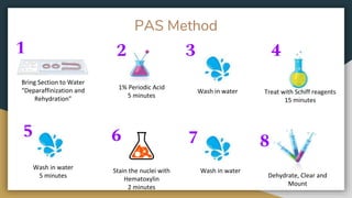 Periodic Acid Schiff and Alcian Blue Periodic Acid Schiff | PPTX