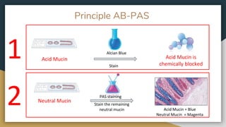 Periodic Acid Schiff and Alcian Blue Periodic Acid Schiff | PPTX
