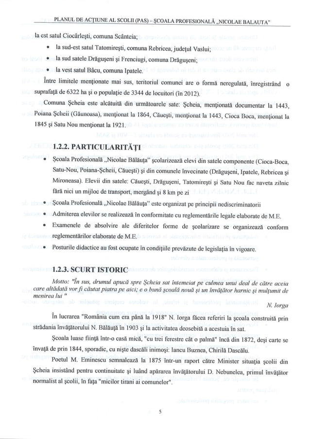 PAS_Scoala Profesionala Nicolae Balauta Scheia.PDF