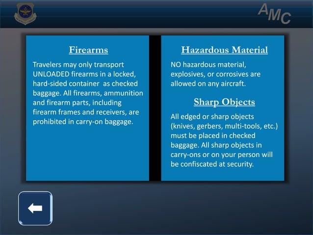 Ramstein passenger terminal guide | PPSX | Air Travel | Travel Type