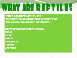 Passion Project Reptile Power Point | PPT