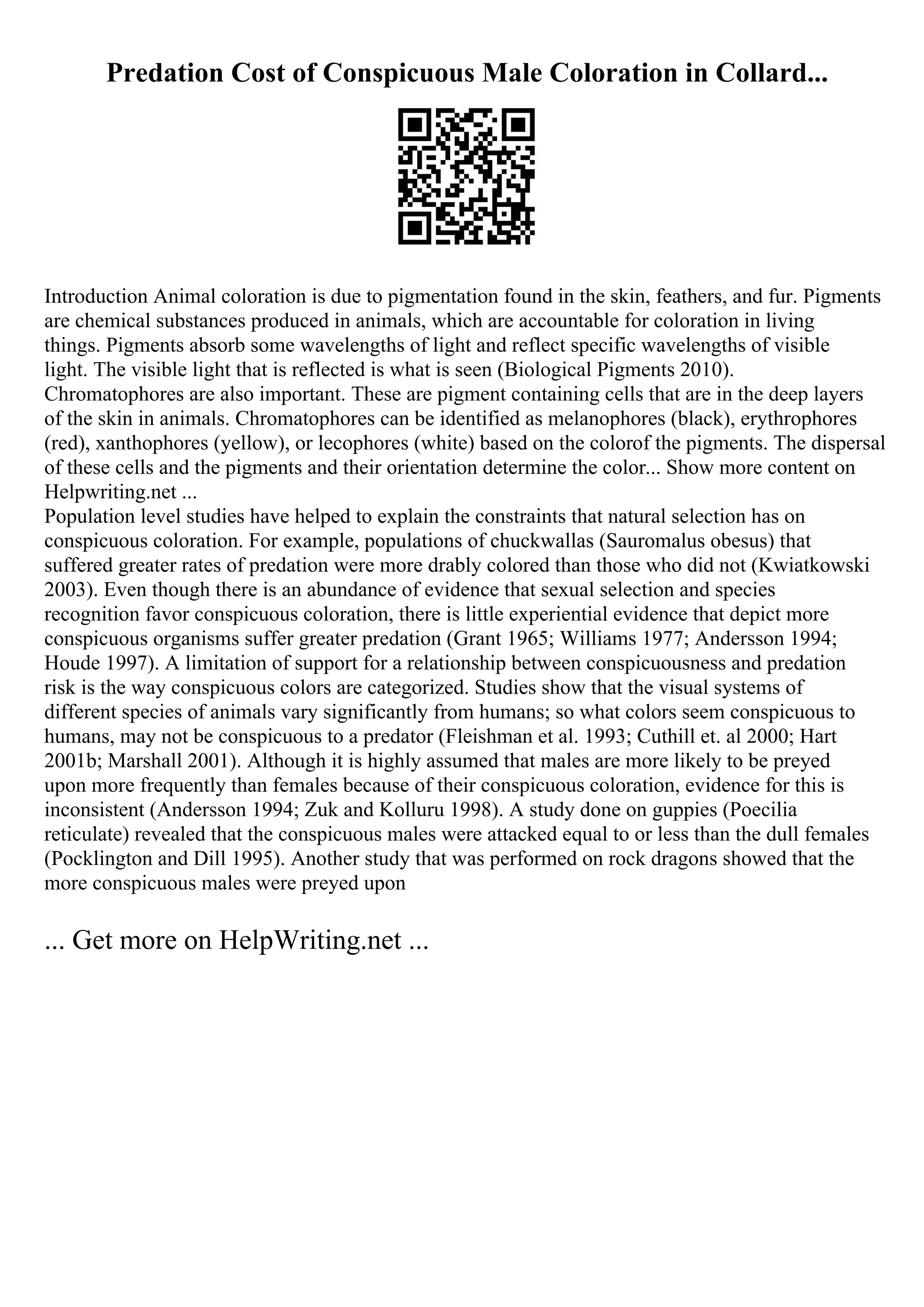 Passion Essay Example | PDF