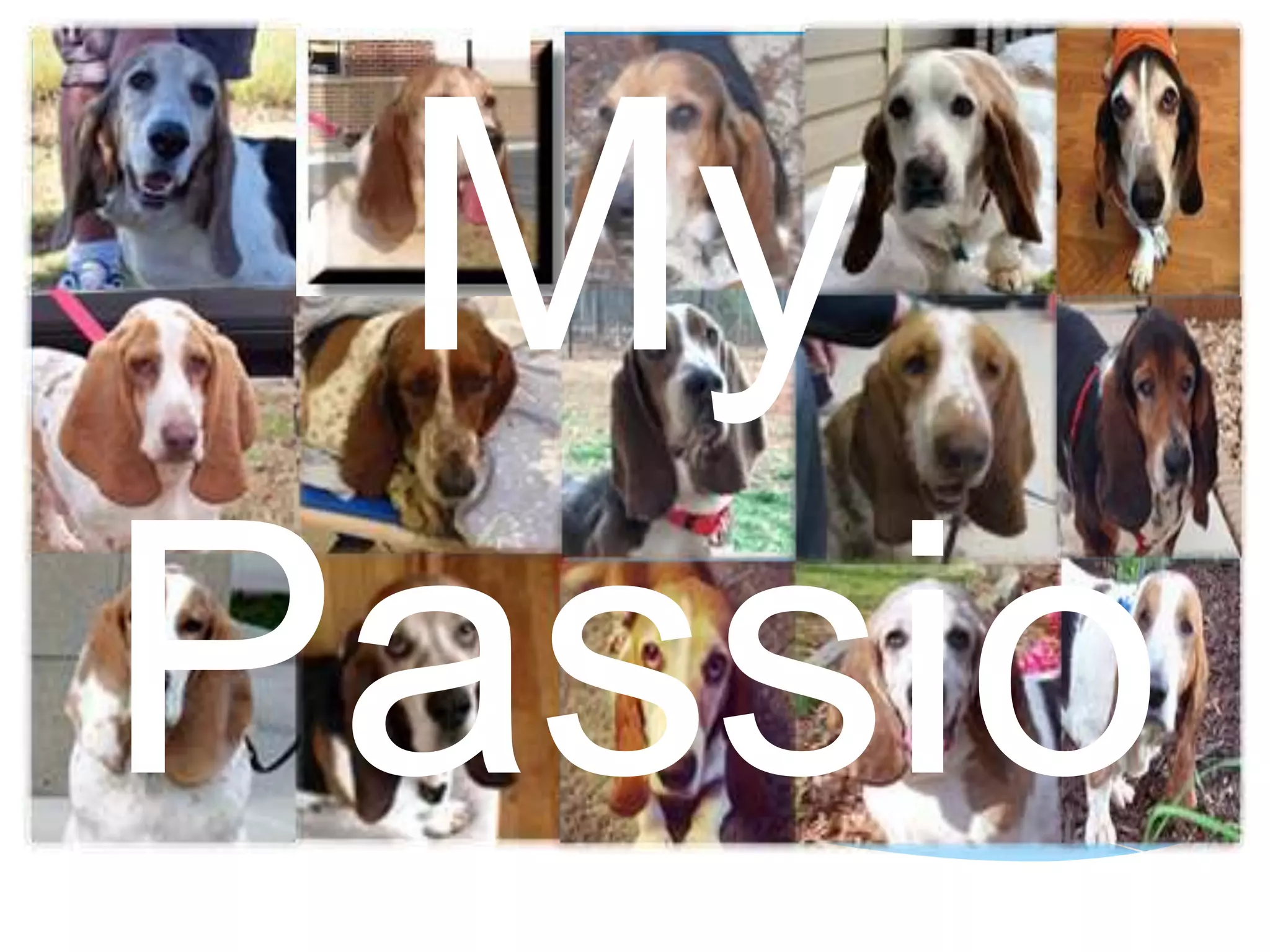 Passion project final presentation ppt | PPTX | Classical Music | Music